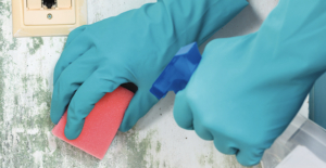 Products Improving Our World - Olin® Corporation