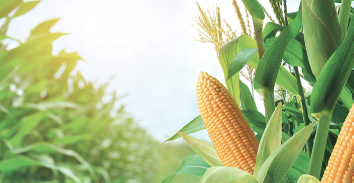 Products Improving Our World - Olin® Corporation